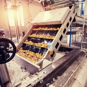 Restaurant Walk In Cooler Food Safety Guide - My Food Safety Nation